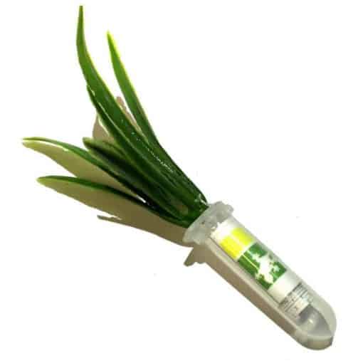 Realistic Large Grass Geocache Nano Container Logged Ready to Hide ...